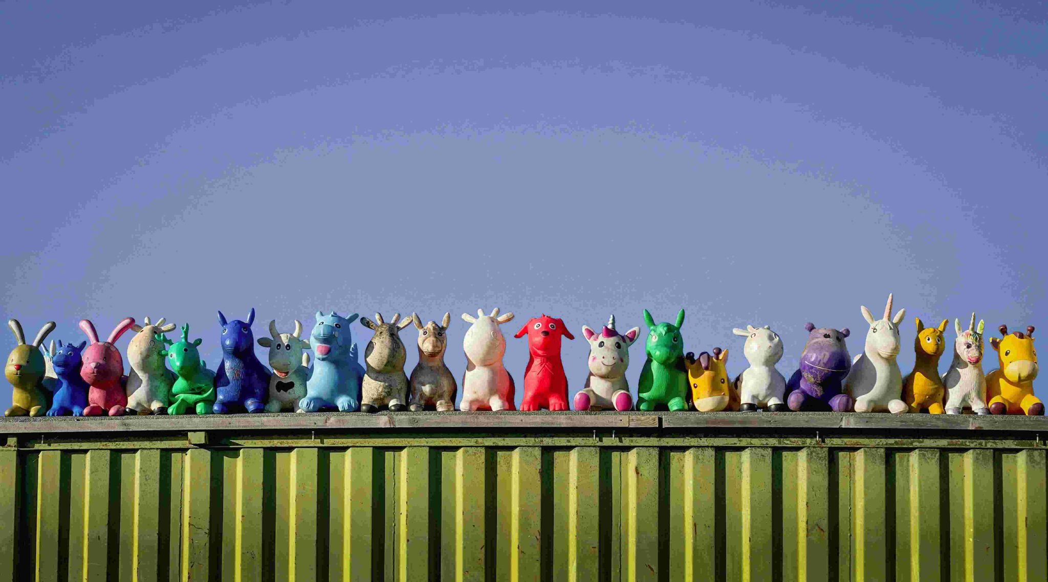 eXactls: Learning Content Management System - eXact learning solutions